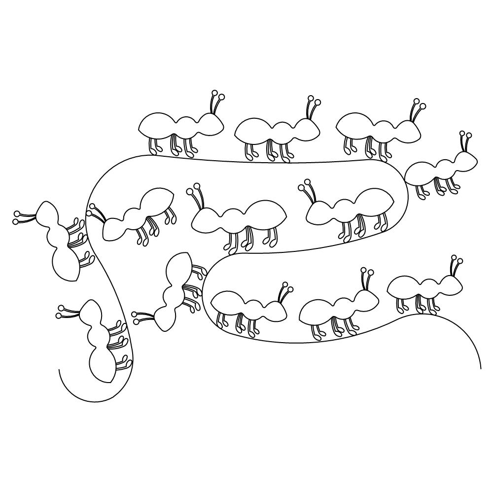 ants go marching e2e pano 002 - Edge to Edge Quilting Patterns