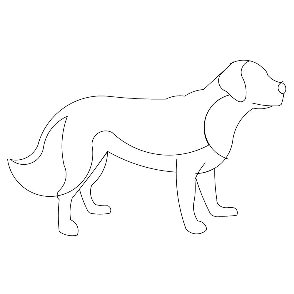 dog lab border 001 Digital Pattern | Sweet Dreams Quilt Studio ...