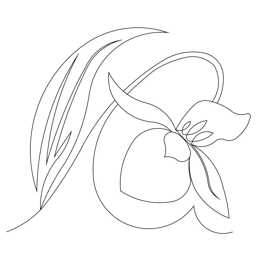 lady slipper border 001 Digital Pattern | Sweet Dreams Quilt Studio ...