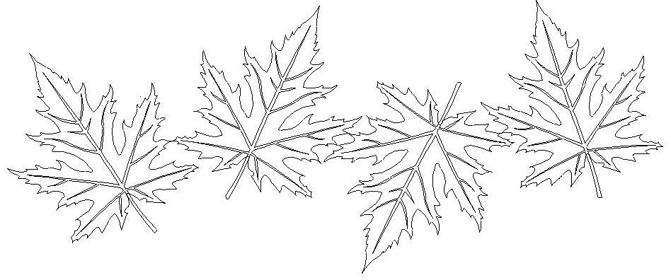 maple leaf cluster Digital Pattern | Sweet Dreams Quilt Studio ...