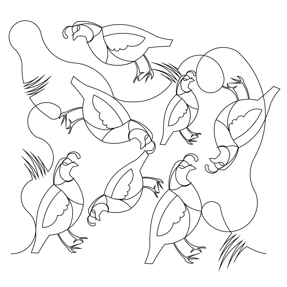 quail pano 001 Digital Pattern | Sweet Dreams Quilt Studio - Edge to ...