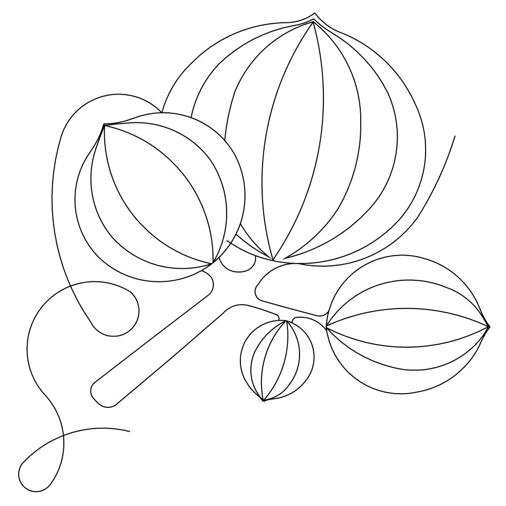 seed pod brd crn 001 Digital Pattern | Sweet Dreams Quilt Studio ...