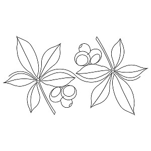 buckeye border001 Digital Pattern | Sweet Dreams Quilt Studio - Digital ...