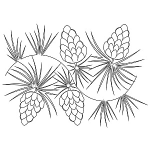 pine bough horz border 001 Digital Pattern | Sweet Dreams Quilt Studio ...