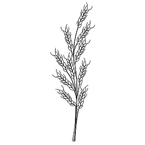 wheat stalk Digital Pattern | Sweet Dreams Quilt Studio - Digital Block ...